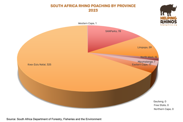 Poaching Increases in South Africa - Helping Rhinos : Helping Rhinos