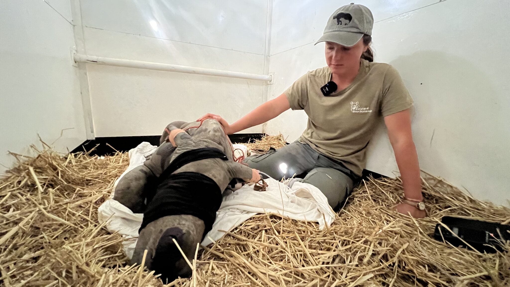 Home - Helping Rhinos : Helping Rhinos